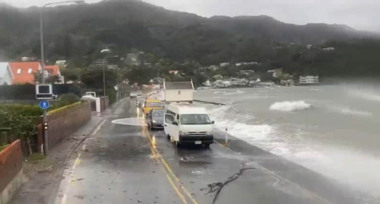 Tupua Horo Nuku: Council’s shared path and seawall project - Eastbourne NZ